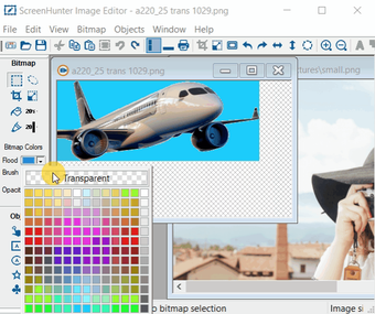 ScreenHunter - Download